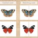 Butterfly Matching Card Game, Symmetry Puzzle, Butterfly Pattern Card ...