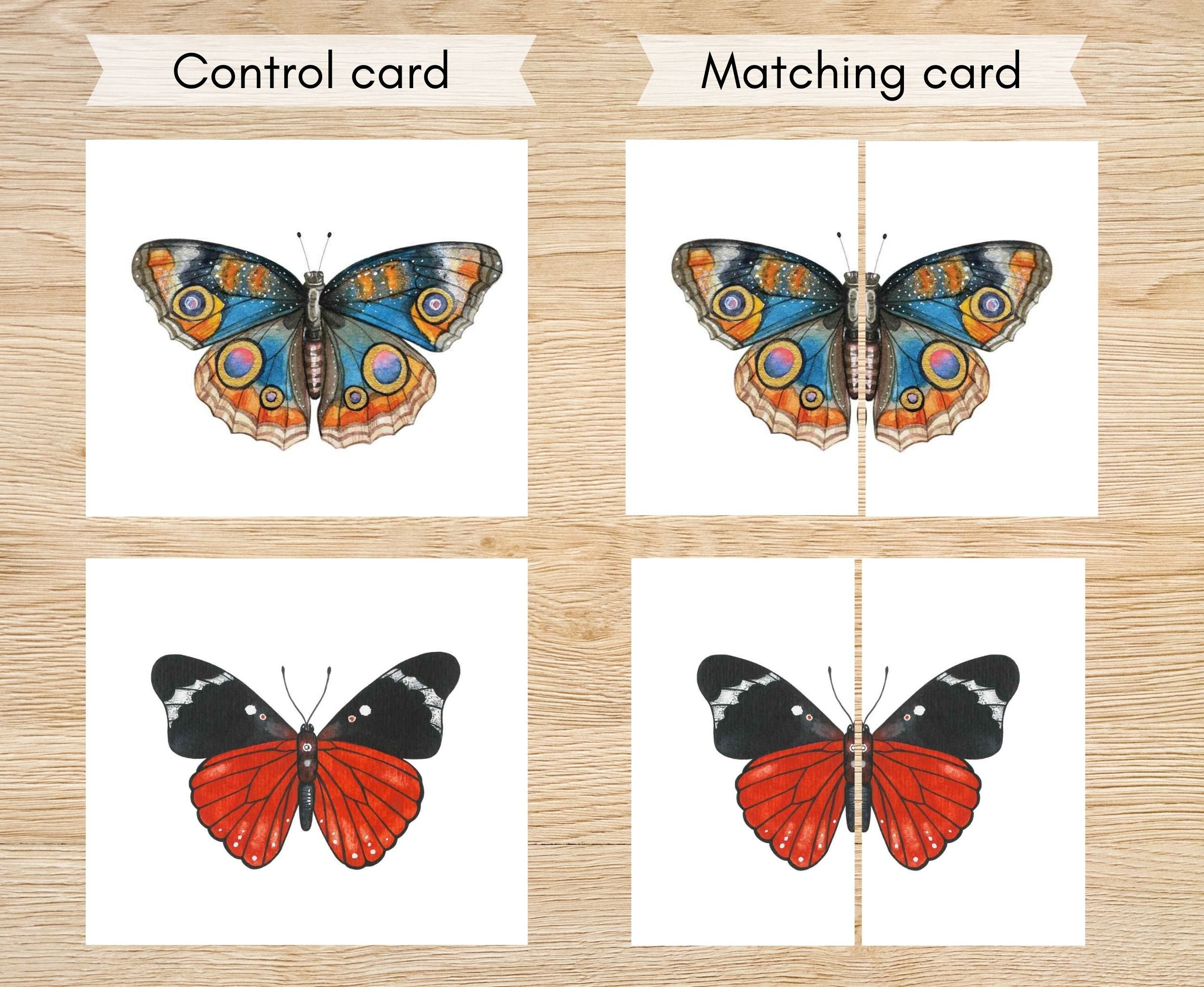 Butterfly Matching Card Game, Symmetry Puzzle, Butterfly Pattern Card ...