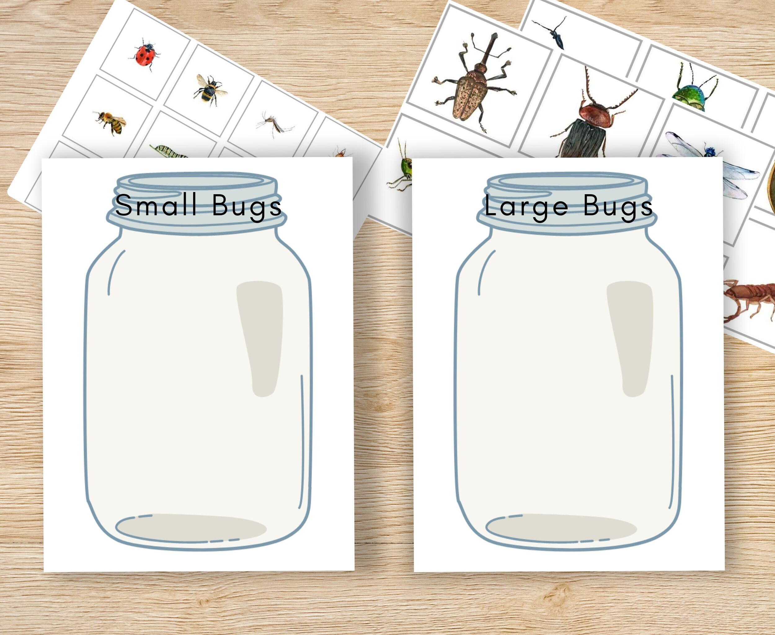 Insect Size Sorting Activity Insect Size Match Montessori - Etsy UK