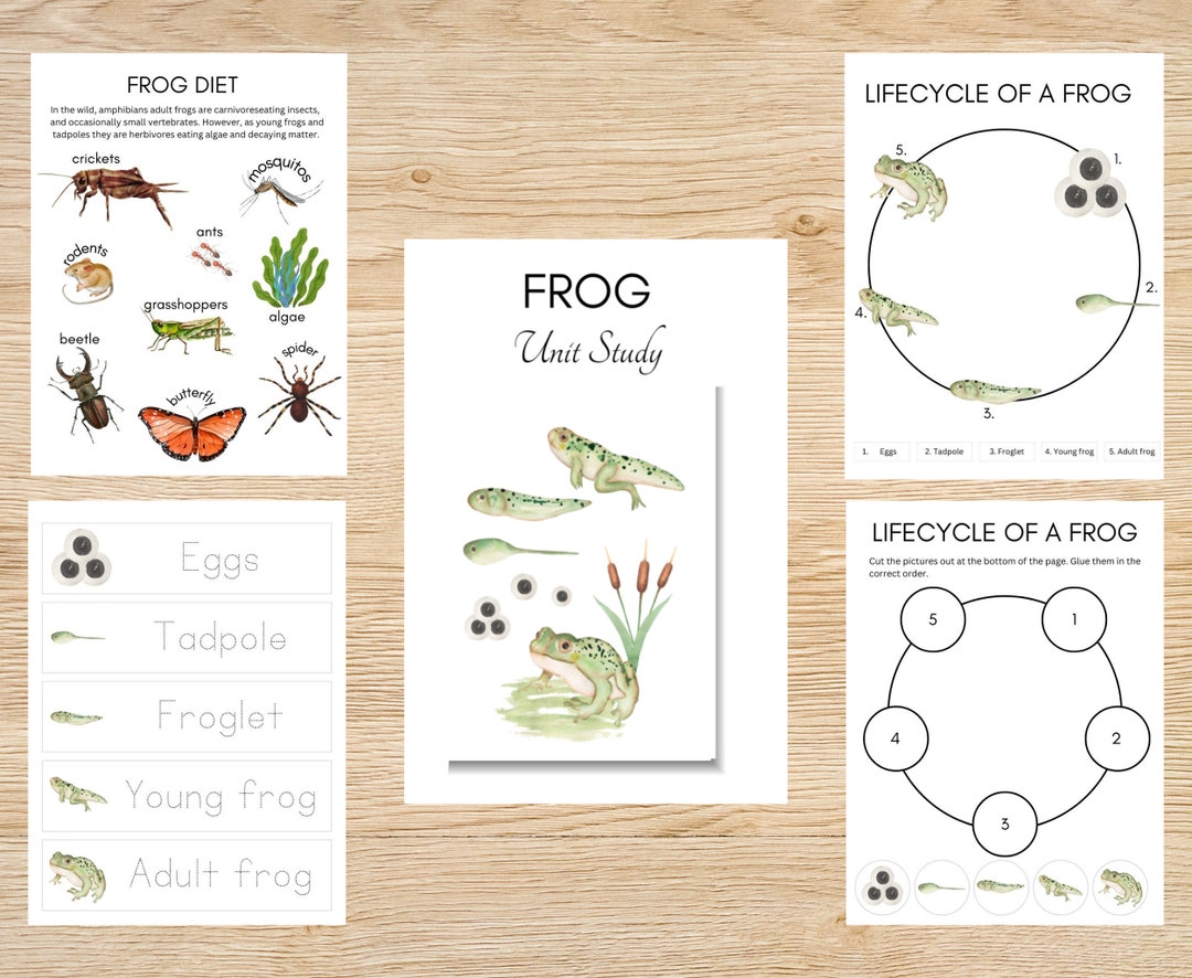 Frog Unit Study Bundle Nature Study Summer Kindergarten - Etsy