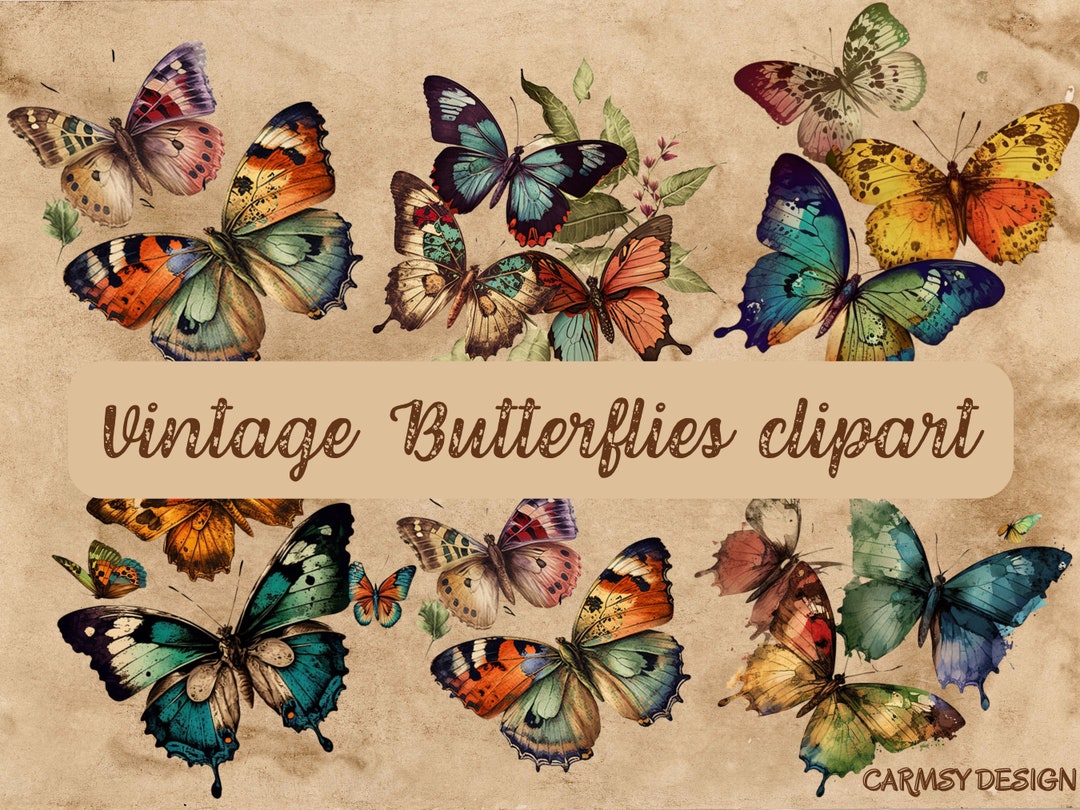 Butterfly Clipart Bundle Watercolor Colorful Vintage - Etsy
