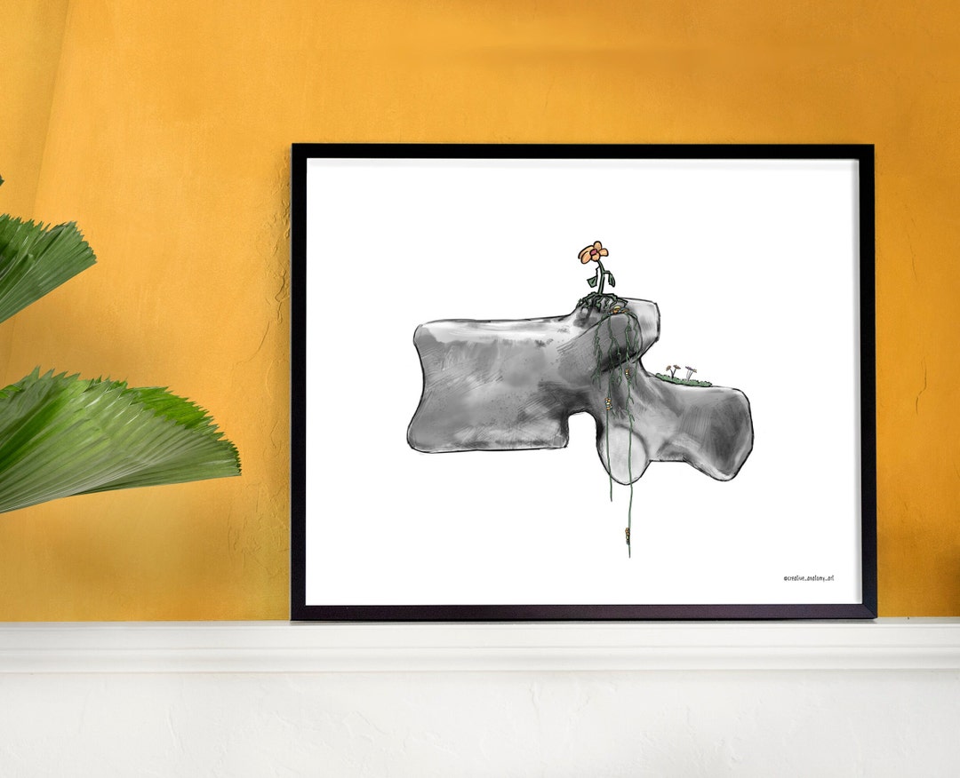 Lumbar Vertebra - Poster - Without Frame - Etsy