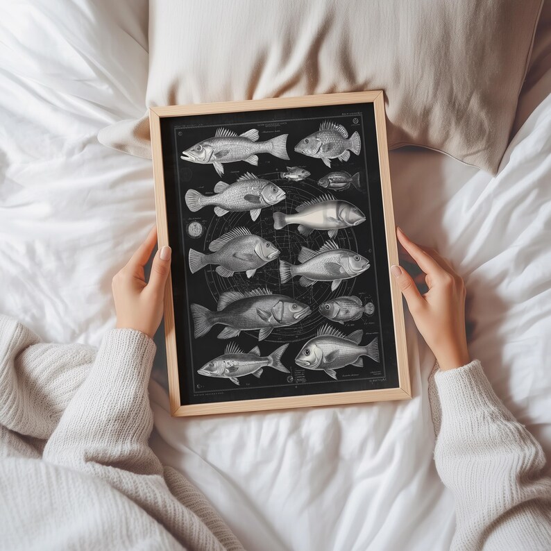 Celestial Fish Chart Poster - Vintage Ocean Star Map Nautical Wall Art ...