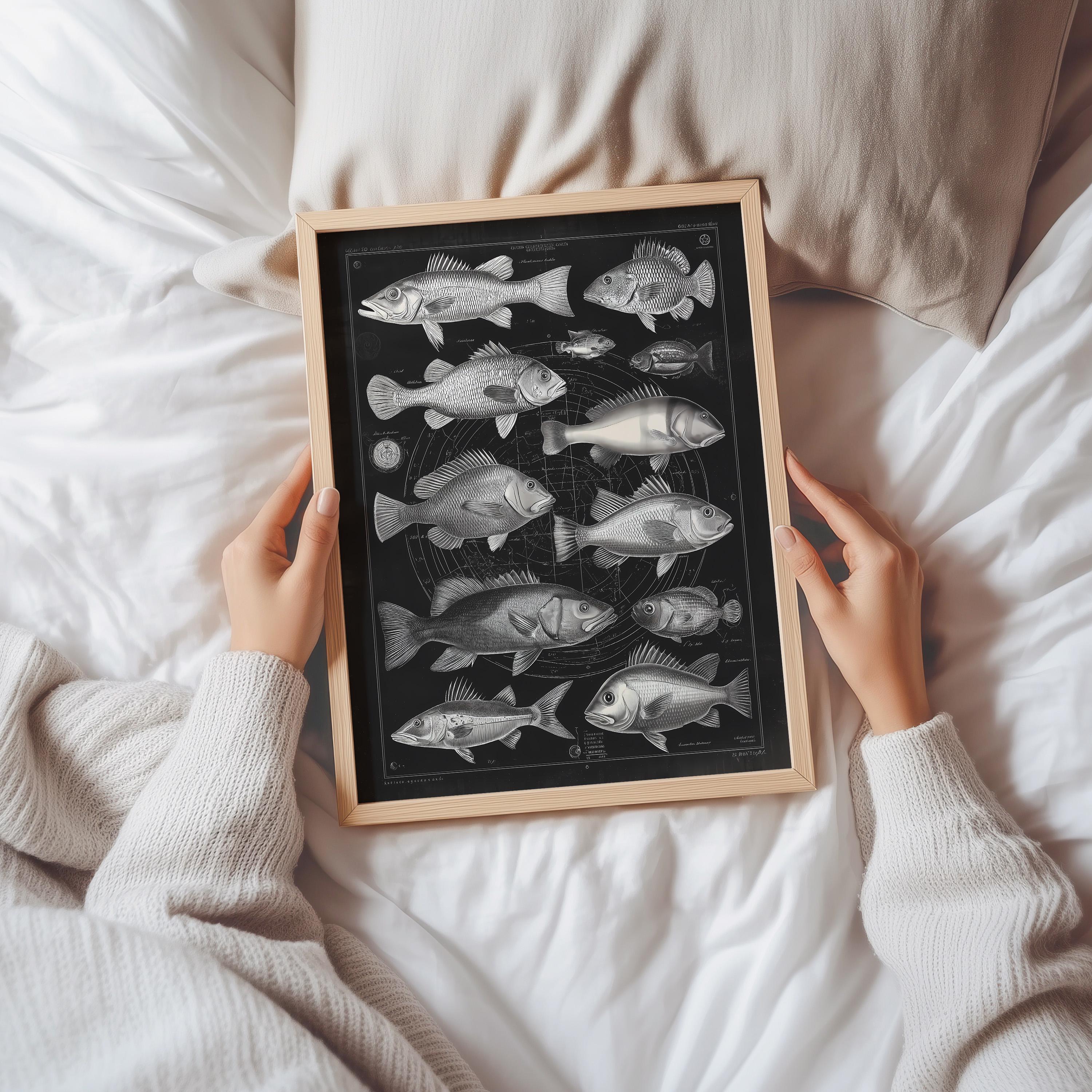 Celestial Fish Chart Poster - Vintage Ocean Star Map Nautical Wall Art ...