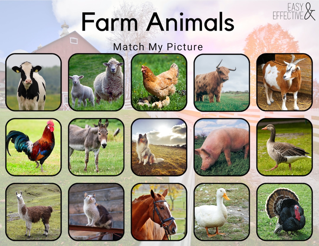 Farm Animals Activity Set - Etsy