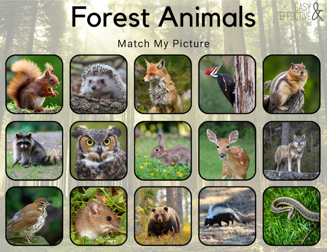 Farm Animal Activity Set - Etsy