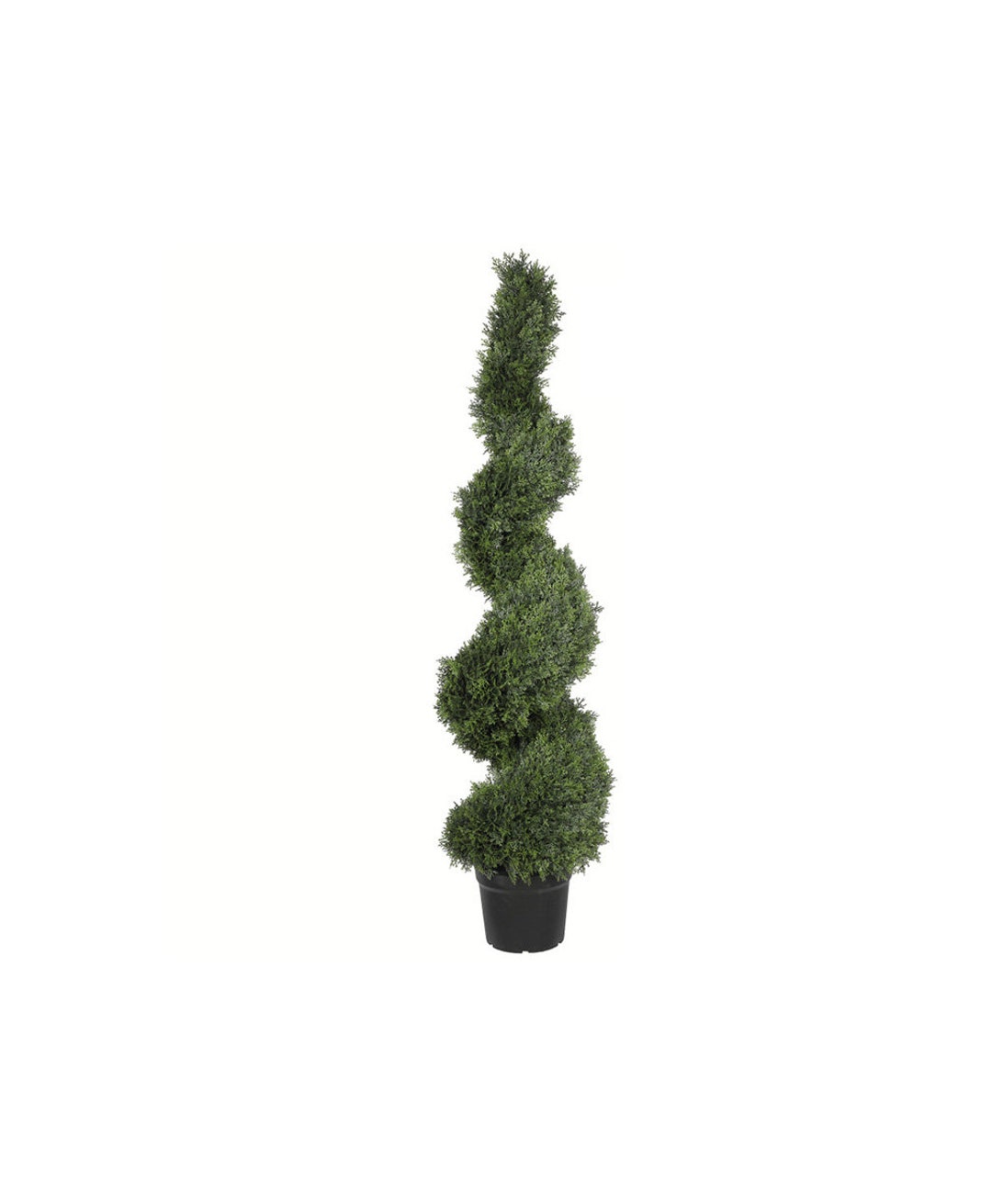 UV Boxwood Mixed Cone and Ball Topiary 36 or 48' - Etsy
