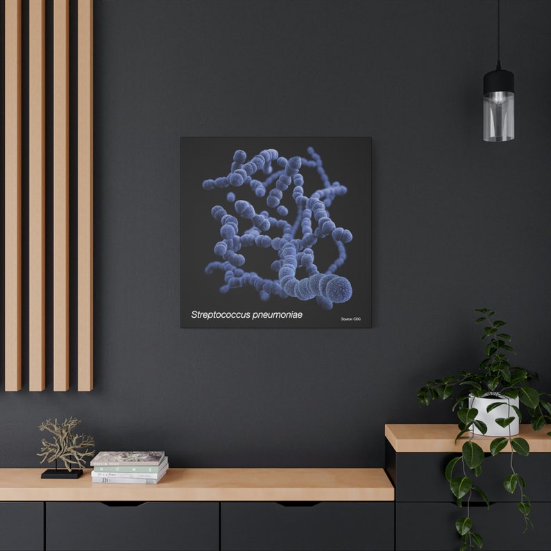Streptococcus Pneumoniae - Etsy