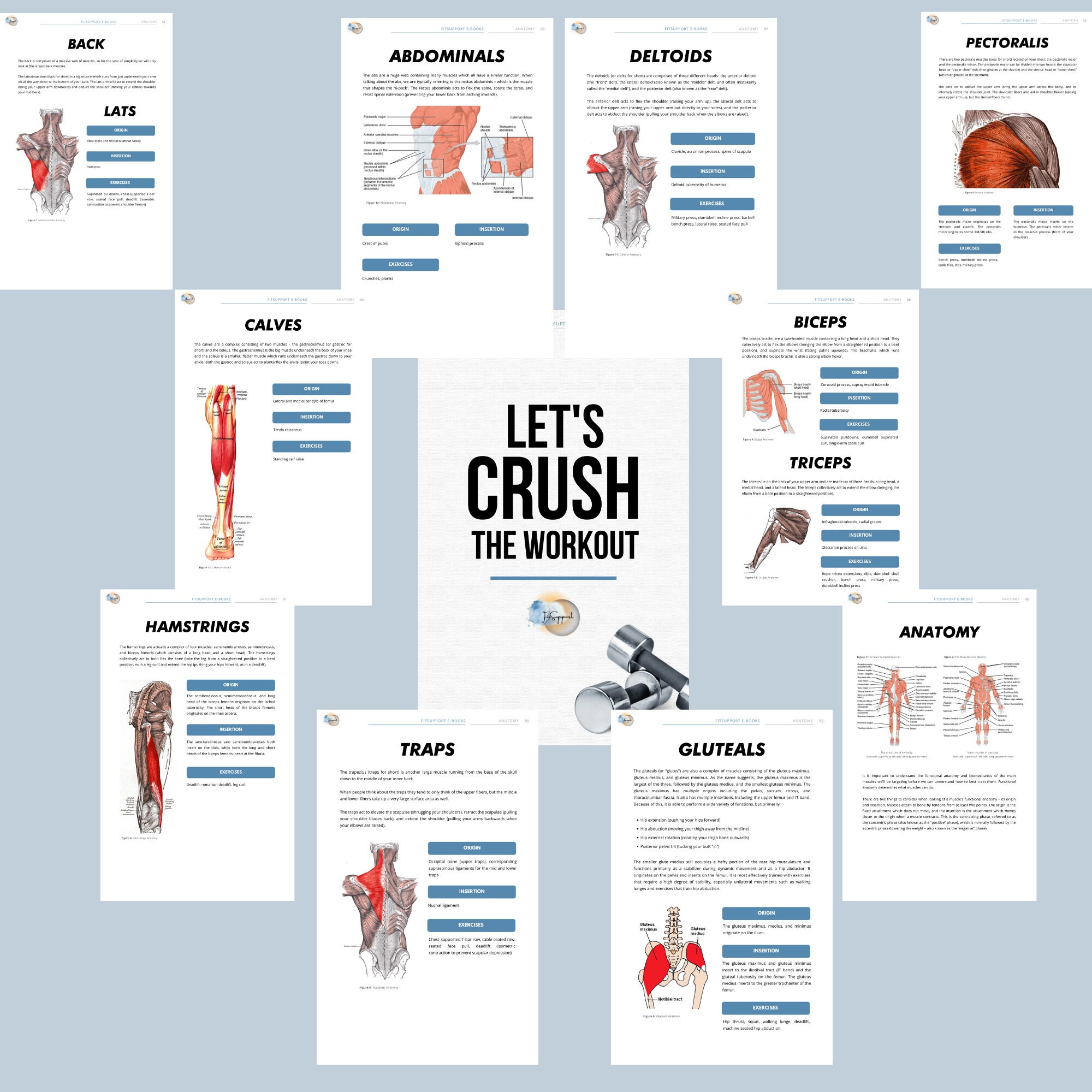 Ultimate Fitness Guide Program for Beginner, Digital Fitness Workout ...