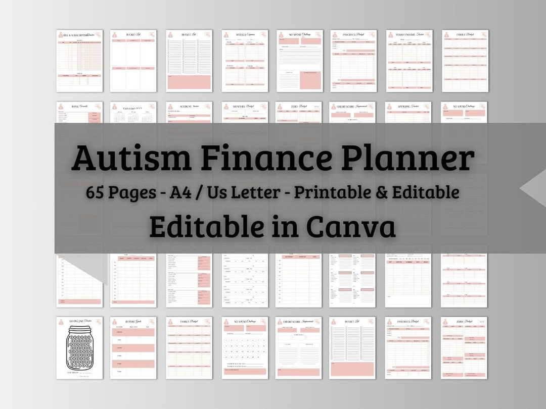 EDITABLE Autism Workbook Canva Autistic Budget Planner Journal for ...