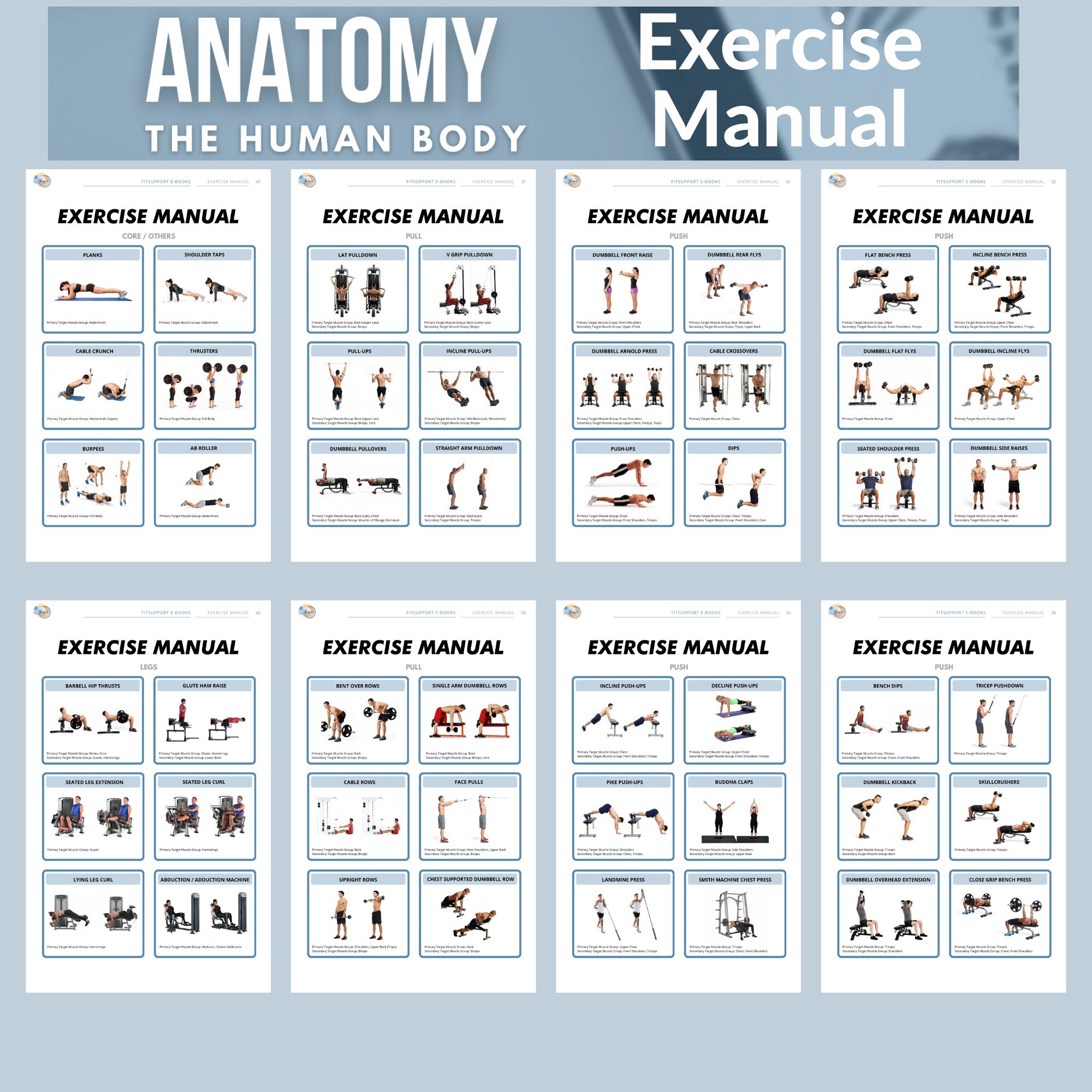 Ultimate Fitness Guide Program for Beginner, Digital Fitness Workout ...