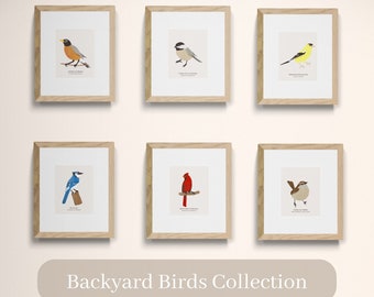 Printable Field Guide - Etsy