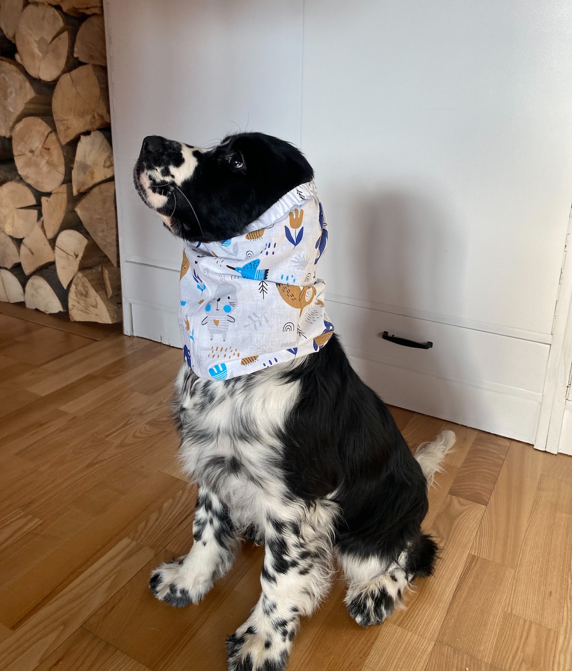 Cotton Dog Snood Summer Snoods for Dogs Dog Ear Protector Cavalier ...