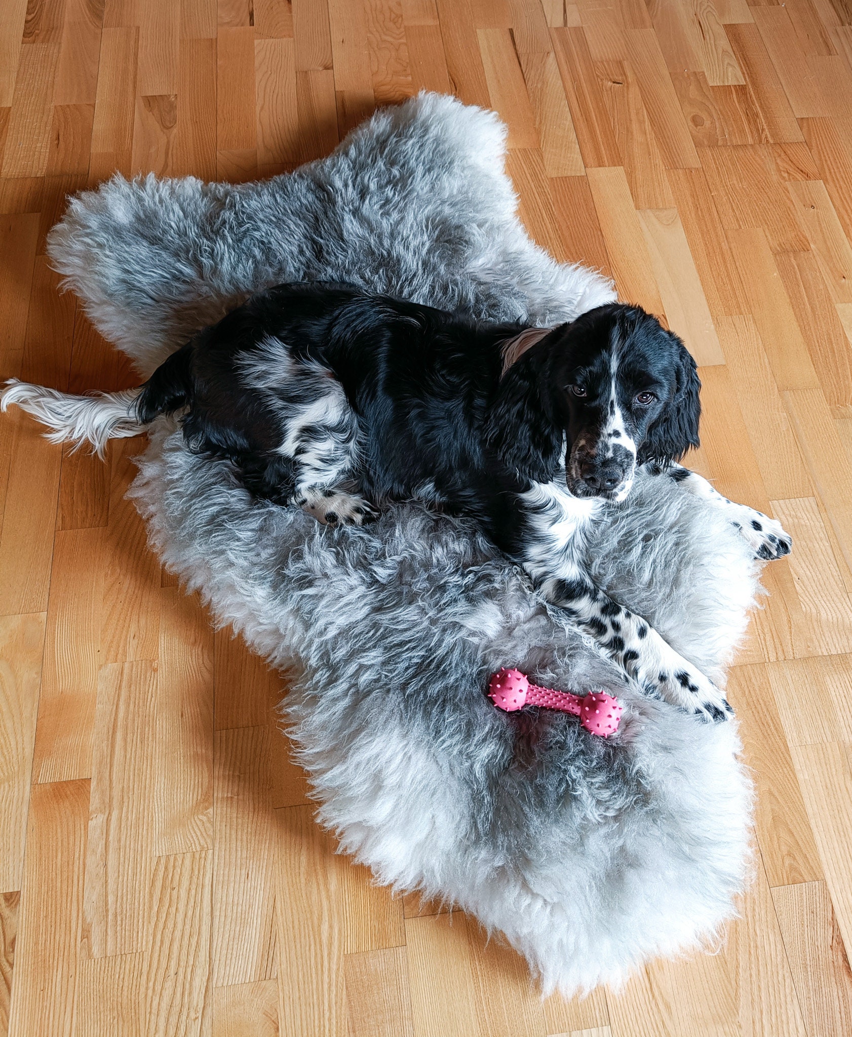 Grey Sheepskin Short Hair Pet Bed | 100% Natural Silver Sheepskin ...
