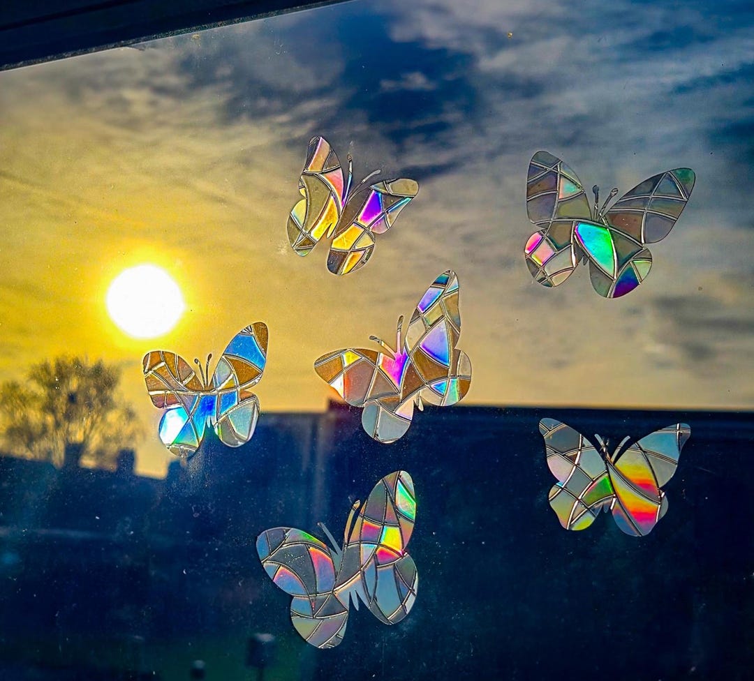 Butterfly Window Decals, Set of 6 Butterfly Sun Catchers, Butterfly ...