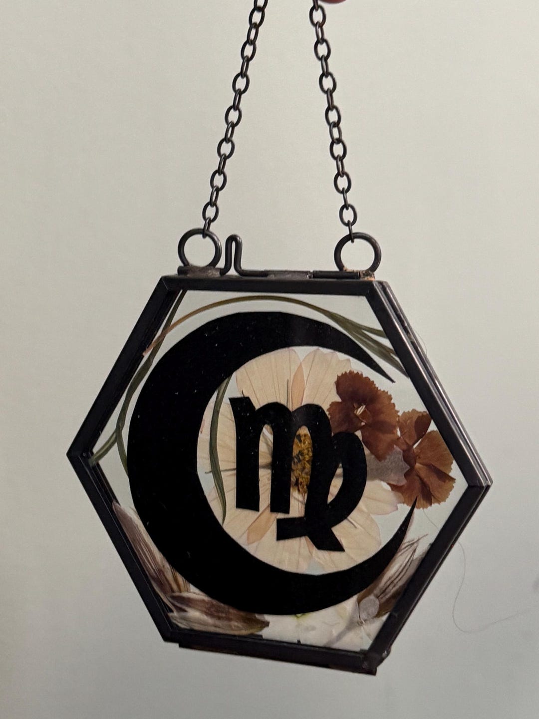 Pressed Flower Art in Glass Frame, Virgo, Hanging, 4x3, Hexagon ...