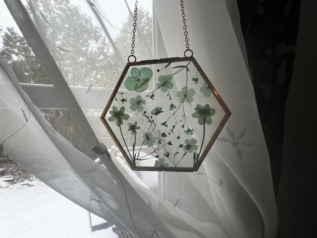 Pressed Flower Art, Pressed Flower Frame, Pressed Flowers, Botanical ...