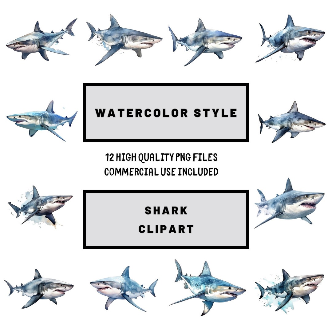 Watercolor Shark Clipart Watercolor Clipart Shark Clipart - Etsy