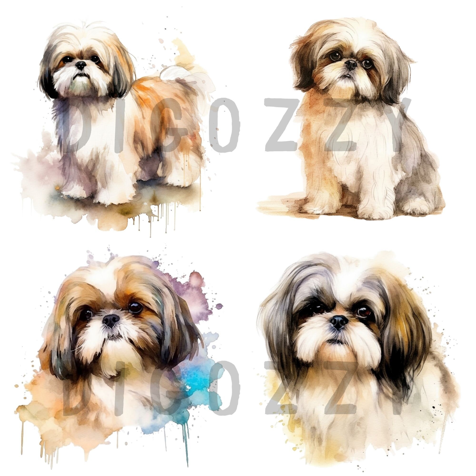 Shih Tzu Clipart Shih Tzu Shih Tzu Clipart Digital - Etsy