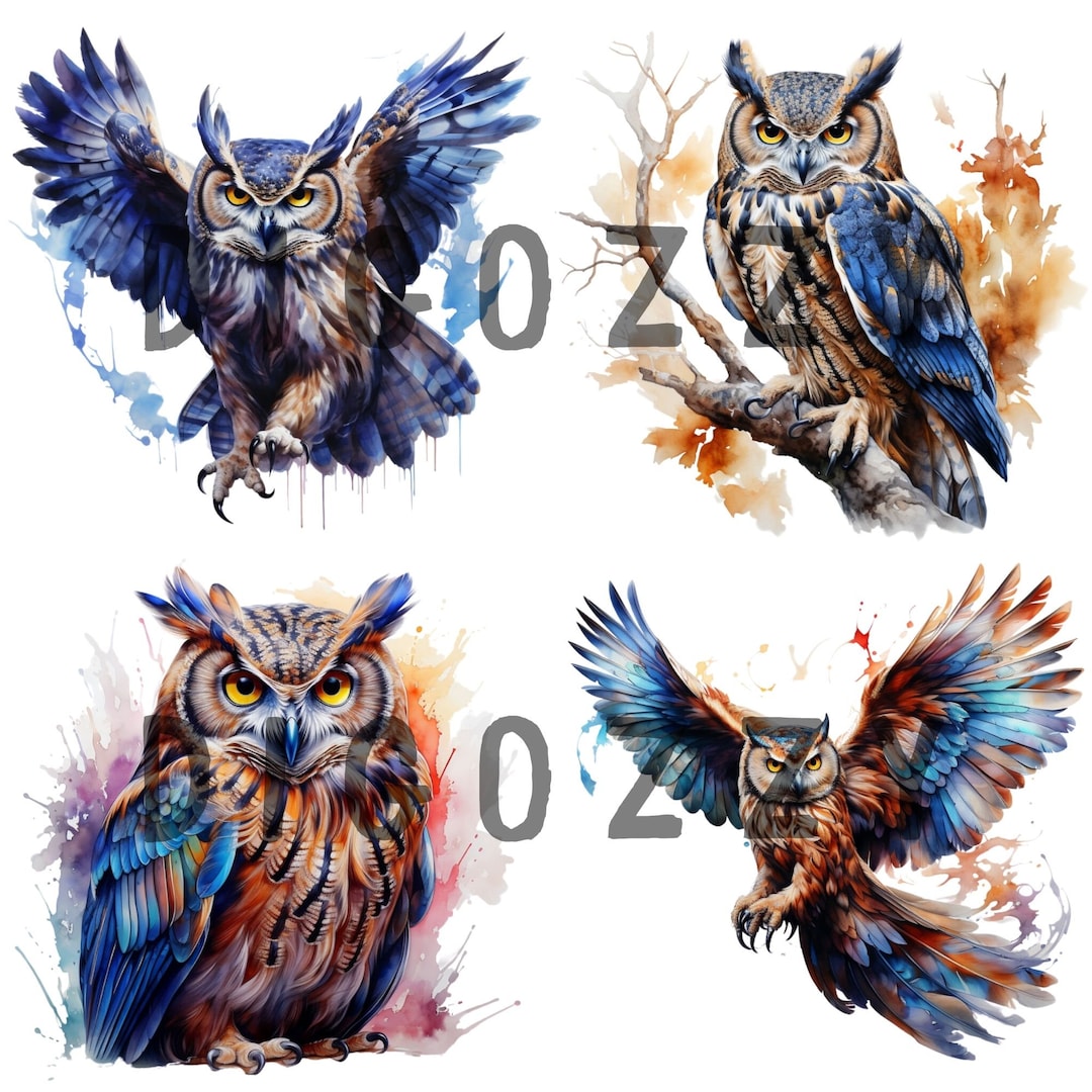 Watercolor Owl Clipart Watercolor Clipart Owl Clipart - Etsy