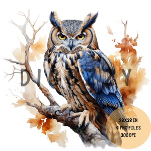 Watercolor Owl Clipart Watercolor Clipart Owl Clipart - Etsy