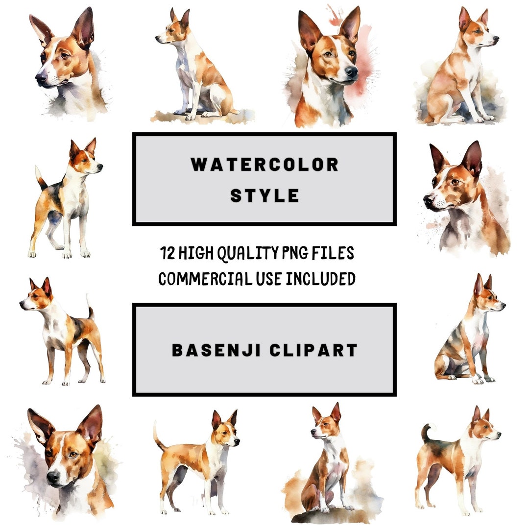 Watercolor Basenji Clipart, Basenji Dog, Digital Crafting, Clipart Pack ...