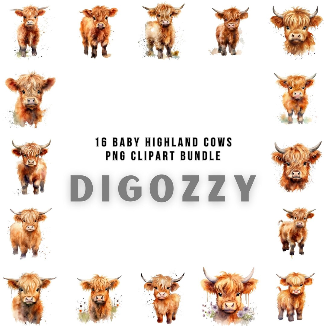 Baby Highland Cow Clipart, 16 High Quality Pngs, Nursery Art, Card ...