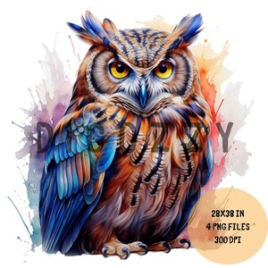 Watercolor Owl Clipart Watercolor Clipart Owl Clipart - Etsy