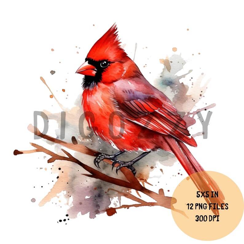 Watercolor Red Cardinals Clipart Digital Download Watercolor - Etsy