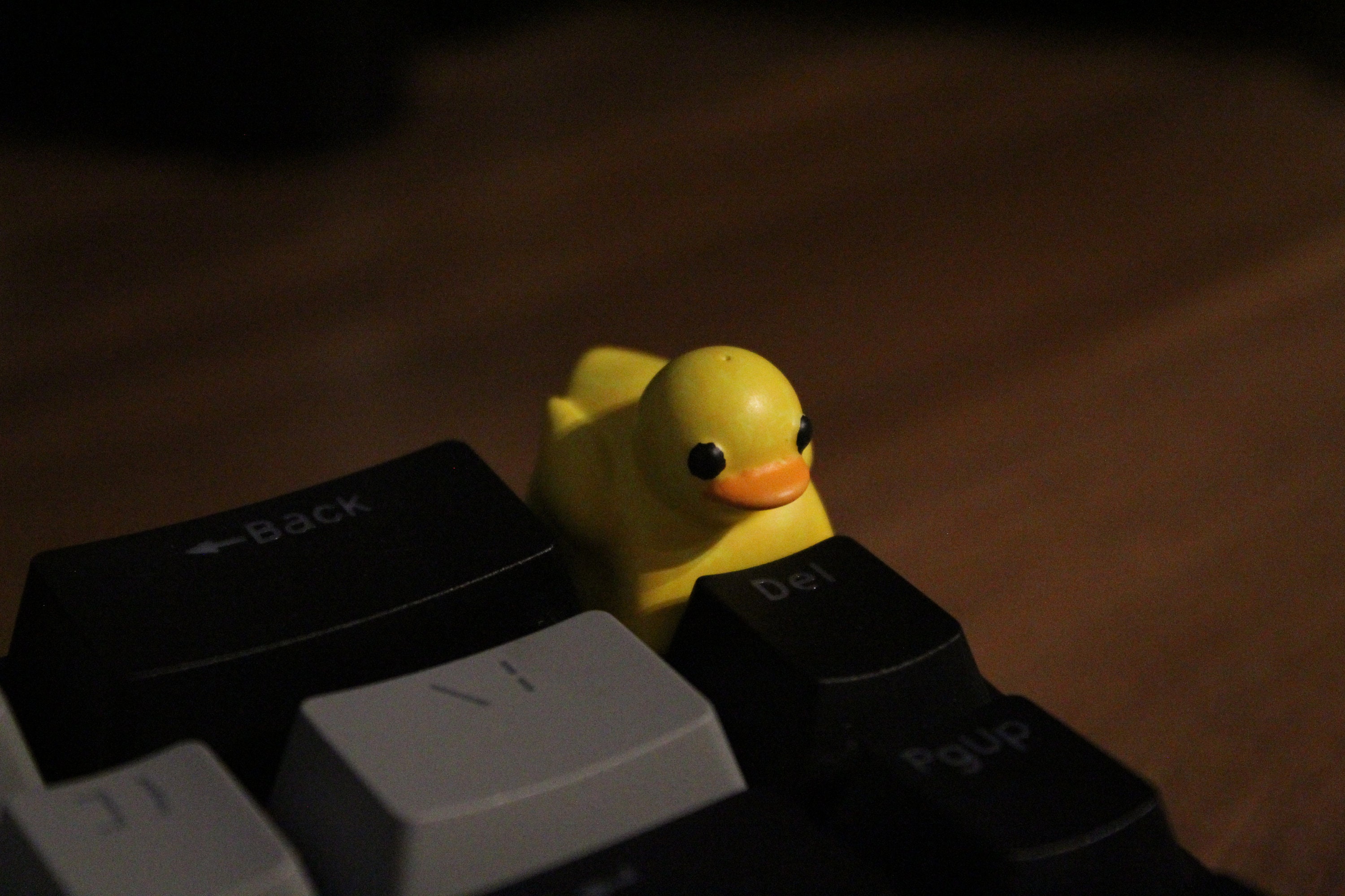 Custom Artisan Keycap Duck Ducky - Etsy