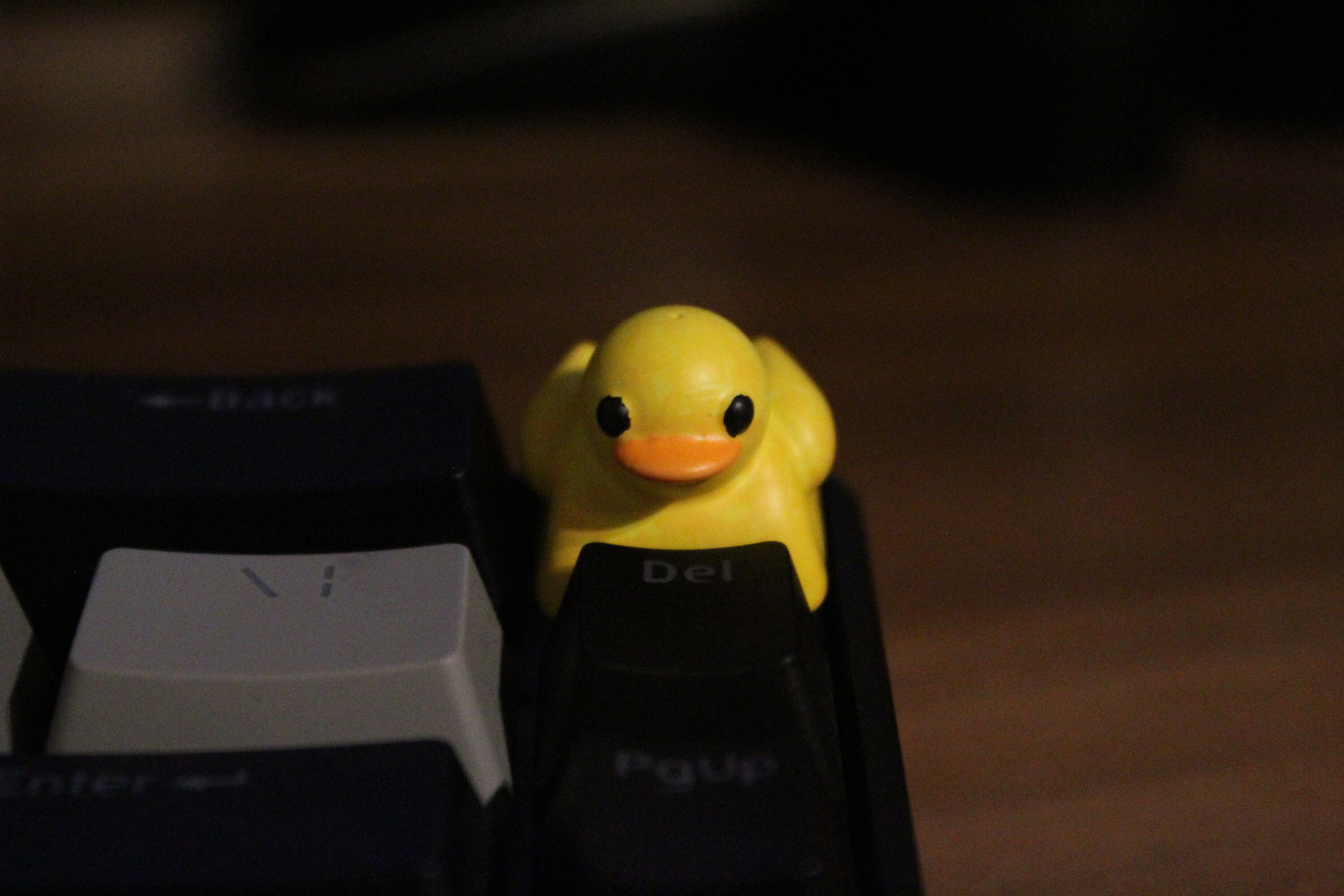 Custom Artisan Keycap Duck Ducky - Etsy