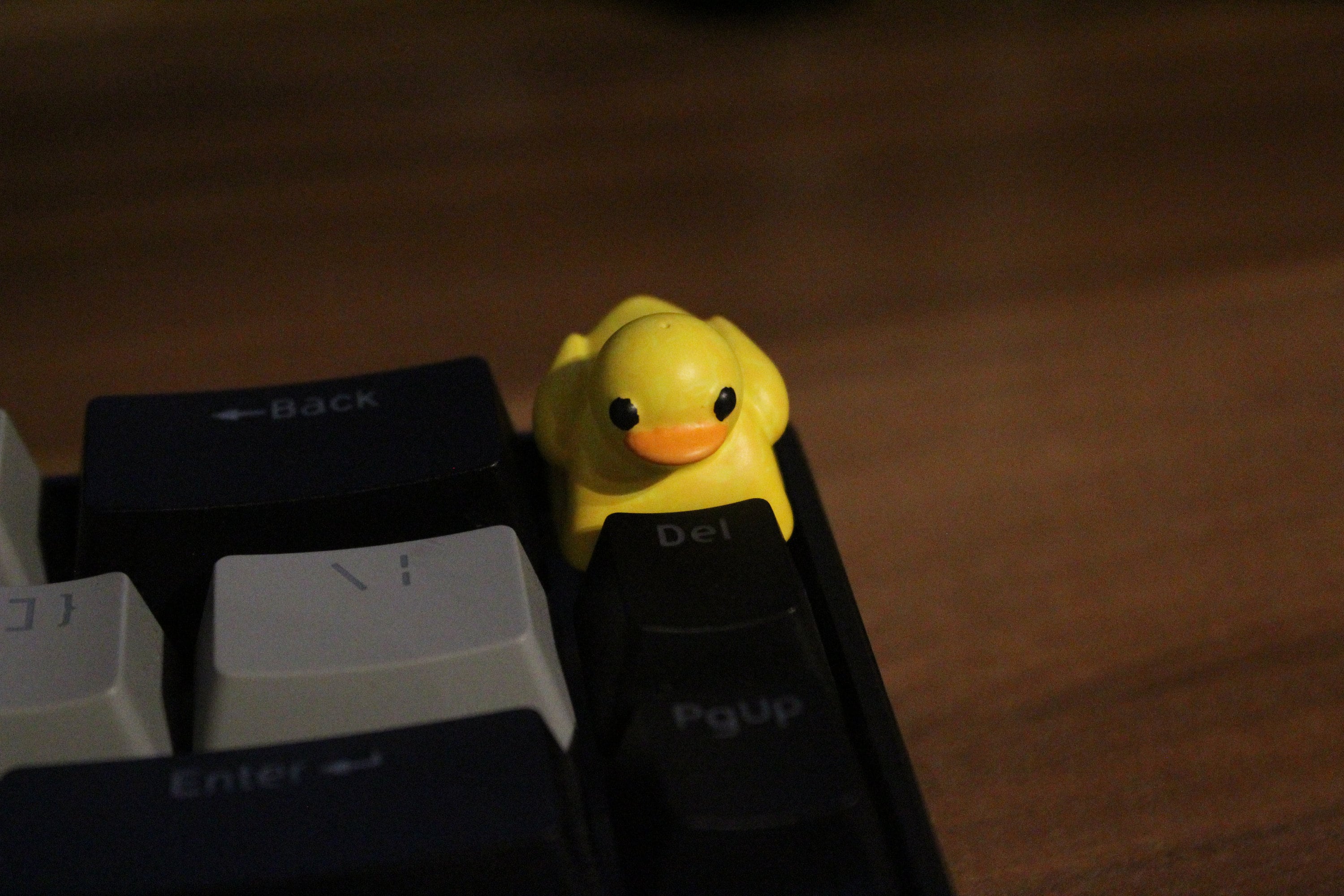 Custom Artisan Keycap Duck Ducky - Etsy
