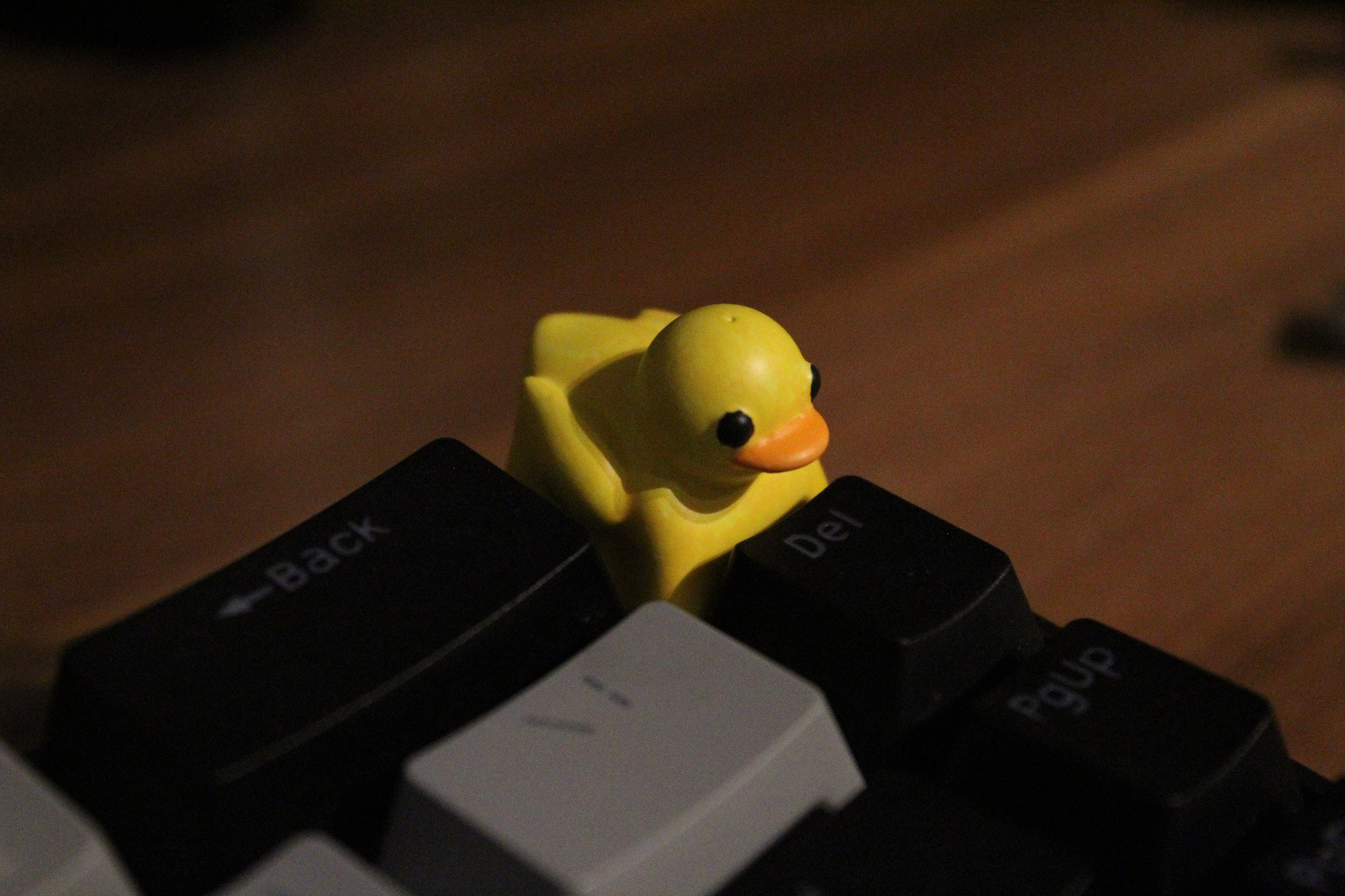 Custom Artisan Keycap Duck Ducky - Etsy