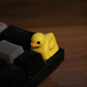Duck Keyboard That Quacks - Etsy