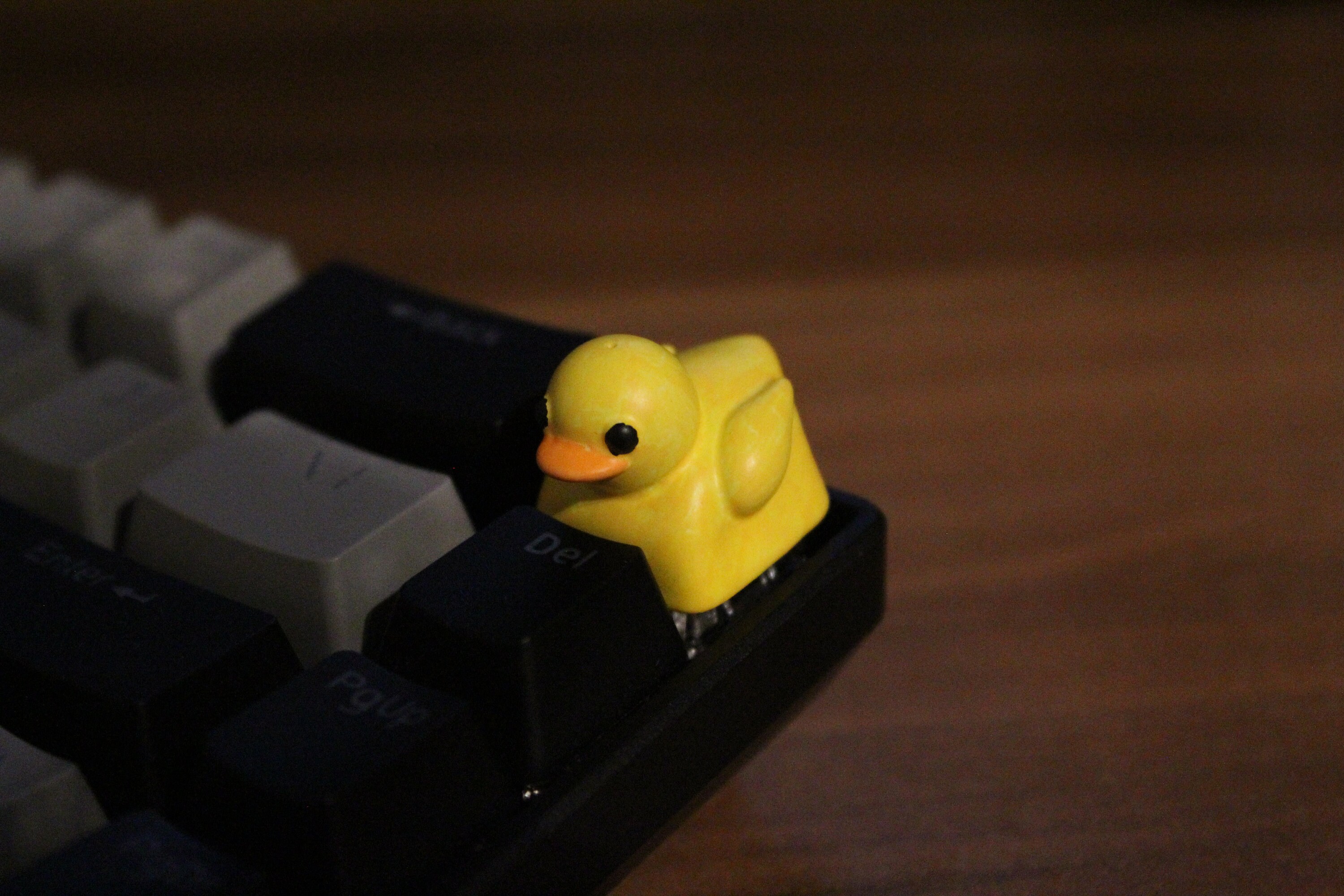 Custom Artisan Keycap Duck Ducky - Etsy