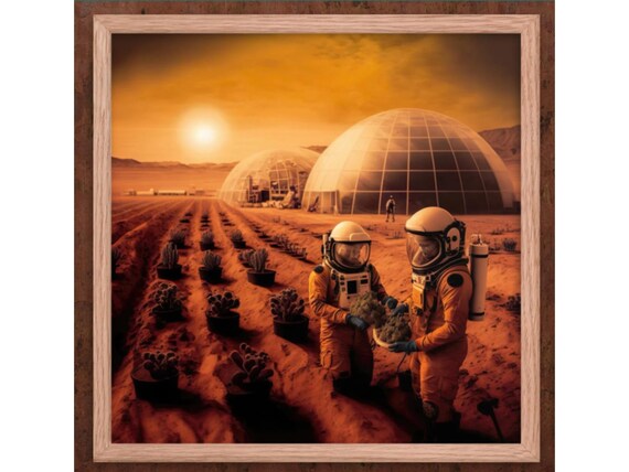 Mars 1 Article