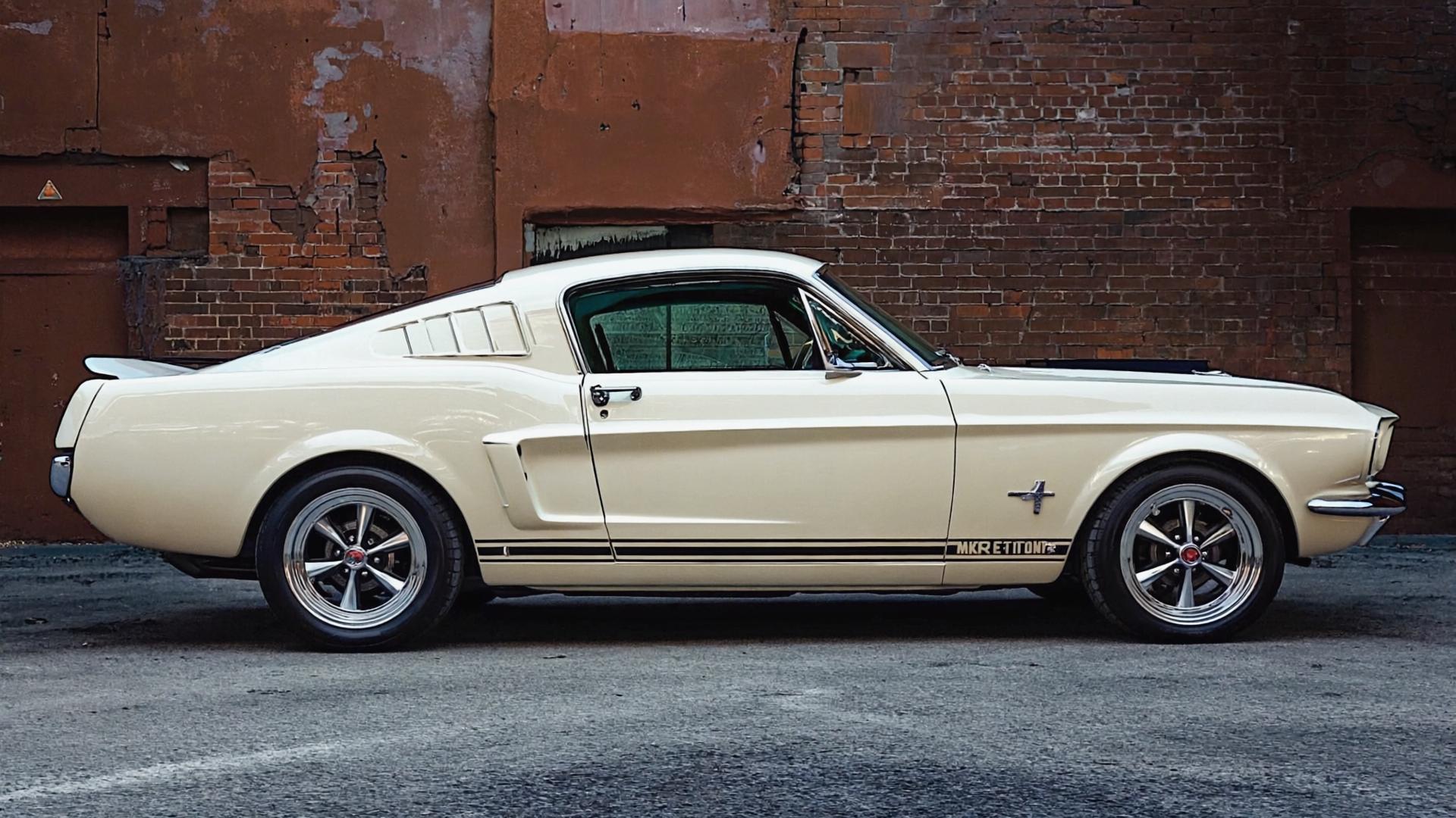 12 Mustang Designs for T-shirts, Sweatshirts, ETC. - Etsy