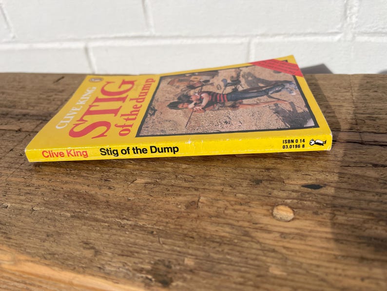 Stig of the Dump 1981 Clive King. Classic Children’s Book. - Etsy