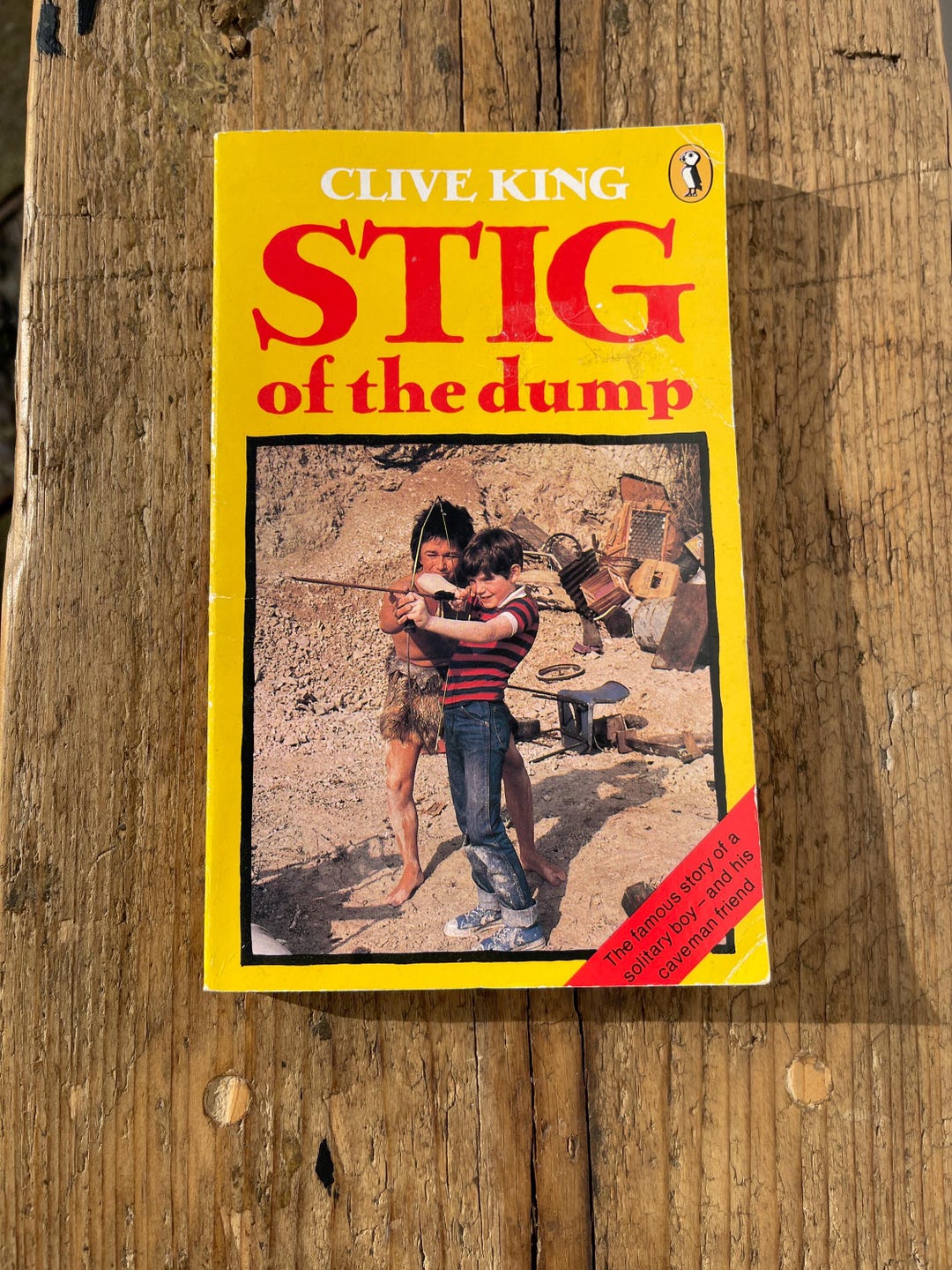 Stig of the Dump 1981 Clive King. Classic Children’s Book. - Etsy
