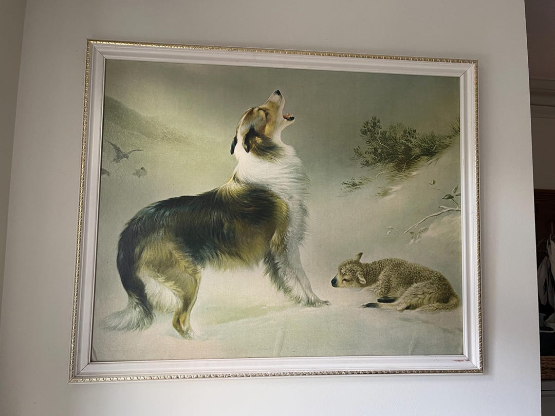 WALTER HUNT ART ‘found by a Friend’ Collie & Lamb ~ Victorian Vintage ...
