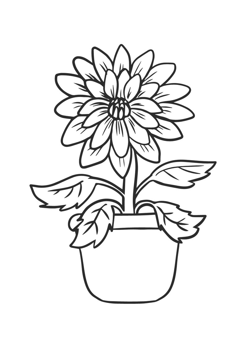 20 Unique Flower Coloring Pages for Kids, A4 Sheets, Colouring for Kids ...