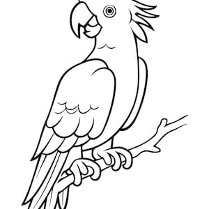 20 Unique Coloring Pages for Kids, Animal Coloring A4 Sheets, Colouring ...