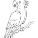 20 Unique Coloring Pages for Kids, Animal Coloring A4 Sheets, Colouring ...