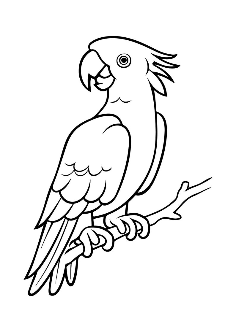 20 Unique Coloring Pages for Kids, Animal Coloring A4 Sheets, Colouring ...