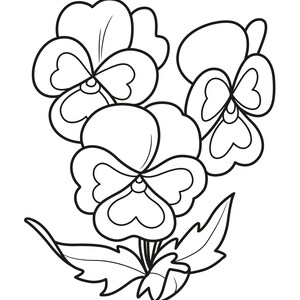 20 Unique Flower Coloring Pages for Kids, A4 Sheets, Colouring for Kids ...