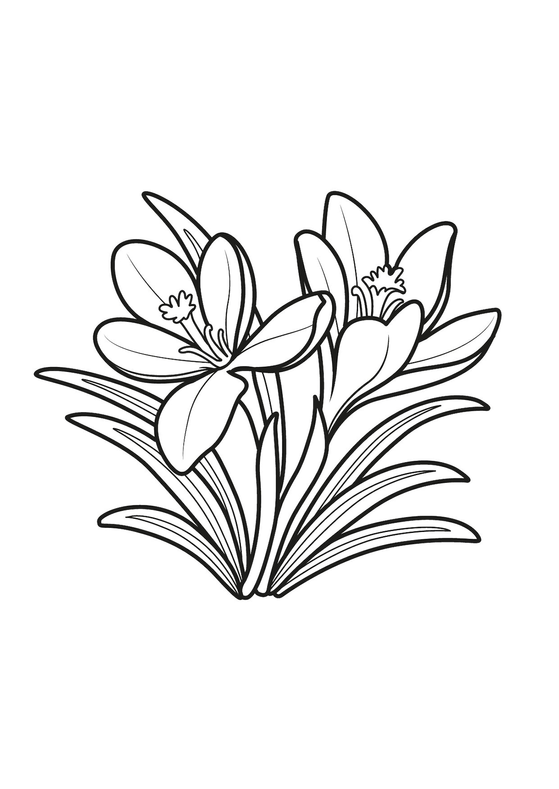 20 Unique Flower Coloring Pages for Kids, A4 Sheets, Colouring for Kids ...