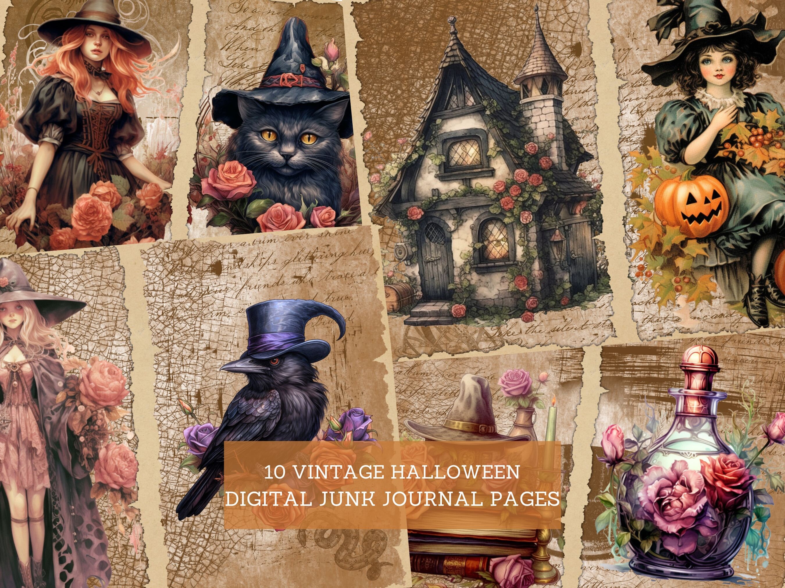 Vintage Halloween Witch Wallpaper