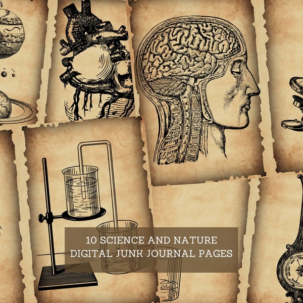 Vintage Science - Etsy