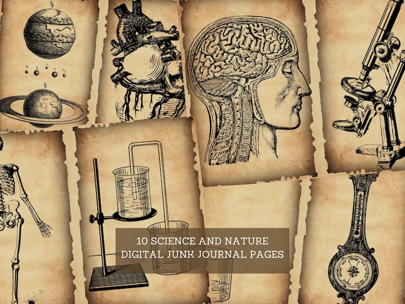 Science & Nature Junk Journal Pages, Vintage Laboratory Junk Journal ...
