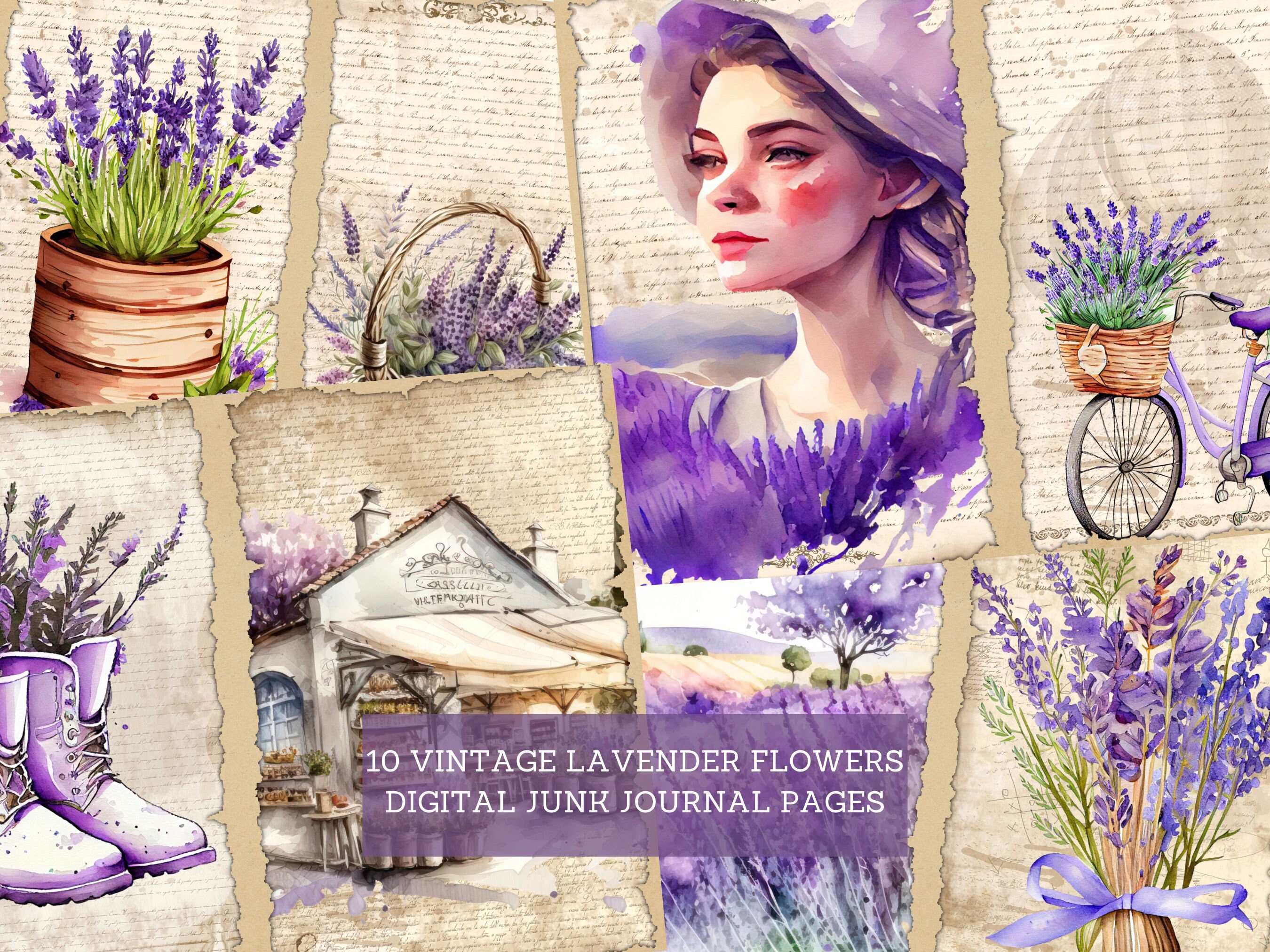 Vintage Lavender Flowers